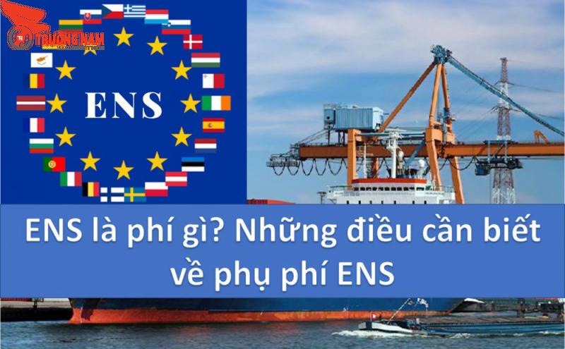 ENS là phí gì? Chi phí và Lợi ích của phí ENS
