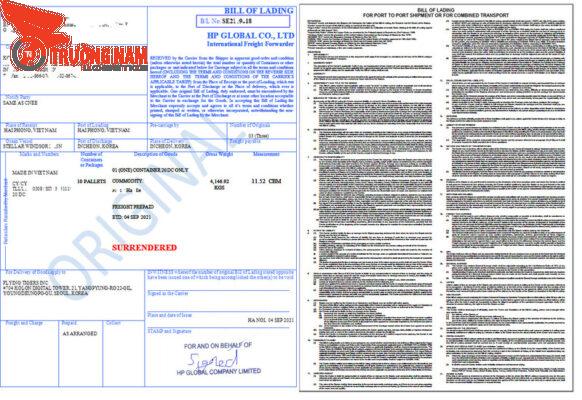 Vận đơn nhận để bốc | Received for shipment bill of lading là gì?