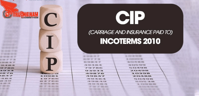 CIP là gì? Giải thích thuật ngữ CIP trong thương mại quốc tế