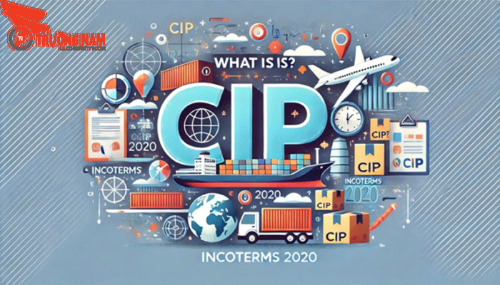 CIP là gì? Giải thích thuật ngữ CIP trong thương mại quốc tế